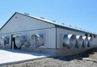 China High-Efficiency Climate Control Galvanized Steel Poultry House Equipment with 12000 Eggs per Hour for sale