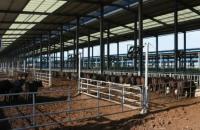 China Zn-Al-Mg Alloy Coated Prefabricated Steel Poultry House with 1-2 Weeks Installation and Customizable Design for sale