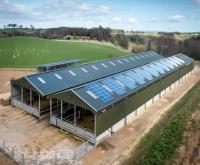 China Easy Disassembly Good Ventilation Prefabricated Steel Poultry House with Q345b Galvanized Steel for sale