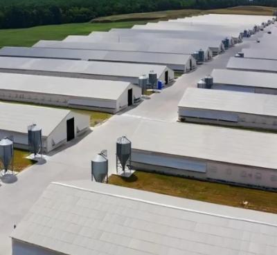 China Modular Quick-Assembly Windproof Waterproof Low-Maintenance Steel Poultry House and Chicken Coop for sale