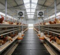 China Modular Quick-Assembly Windproof Waterproof Low-Maintenance Steel Poultry House and Chicken Coop for sale