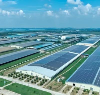 China Temperature-Controlled High-Stability Customizable Steel Poultry House and Steel Chicken Coop for sale
