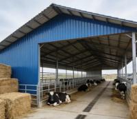 China Temperature-Controlled High-Stability Customizable Steel Poultry House and Steel Chicken Coop for sale