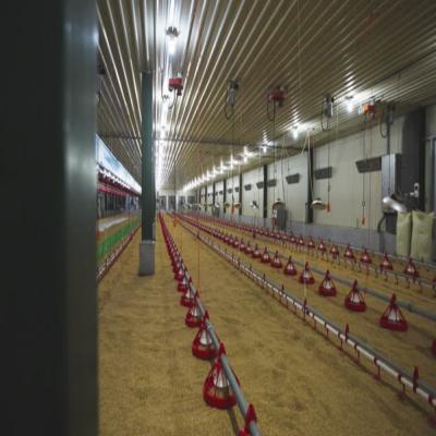 China Hot-dip Galvanized Steel Poultry House Equipment with Double-Layer Manure Scrapers for Eco-Friendly Chicken Farming for sale