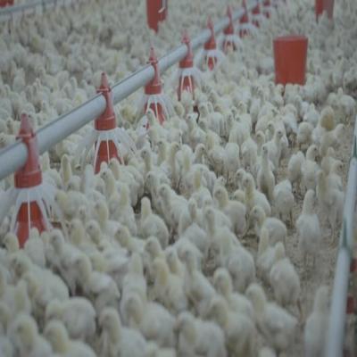 China Fully Automatic Operation Precision Climate Control Systems with 120-130ml/min Flow and Long Term Service Life for Poultry Farming Equipment for sale