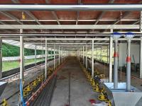 China Automatic Feeding and Drinking Broiler Poultry Equipment with Galvanized Light Steel Frames and Steel Panel Walls for Broiler Raising System for sale