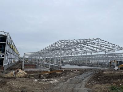 China Short Construction Time Steel Insulation Door H Section Steel Beam Steel Poultry House Prefab Chicken House for sale