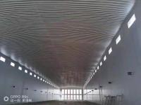 China Turnkey Project High-Efficiency Steel Poultry House and Prefabricated Poultry Building for Floor-Raised Chicken Farms for sale