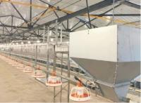 China Automatic Broiler Farming Equipment with Feeding Line and Galvanized Surface Coat for Customizable Broiler Raising System for sale