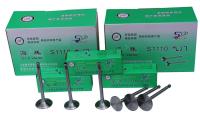 China Diesel Engine Intake Exhaust Valve Sets R170 Z170F - 10-160mm Head Diameter, 40-320mm Length for sale