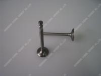 China GX200 Engine Valve Kit - Steel/Stainless Steel Intake & Exhaust Valves for Gasoline Water Pumps for sale