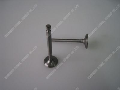 China GX200 Engine Valve Kit - Steel/Stainless Steel Intake & Exhaust Valves for Gasoline Water Pumps for sale