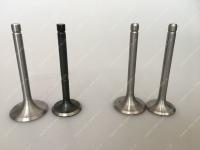 China Diesel Engine Intake and Exhaust Valve Set with Black Seat for Kubota RT120 for sale