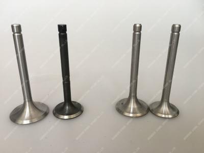 China Diesel Engine Intake and Exhaust Valve Set with Black Seat for Kubota RT120 for sale