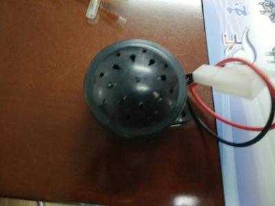 China Electric Rickshaw Reverse Horn & Motor Double Horn Components - OEM Customization, 15-20 Day Delivery for sale