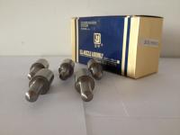 China Diesel Fuel Injector Nozzle S Type Long Life Steel for R170 S195 S1100 Engines for sale