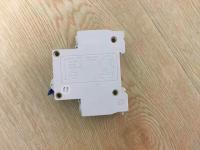 China MCB Electric Rickshaw Parts 1P Circuit Breaker 16A 110V C Curve 5 Year Warranty for sale