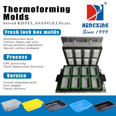 China Thermoforming  Mold Fresh Lock Box Molds Aluminium Molds Better Than Wood for sale