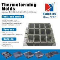 China Fruits Box Molds Thermoforming  Mold  Aluminium Mould Precision Packaging for sale