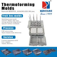 China Fruits Box Molds Thermoforming  Mold  Aluminium Mould Precision Packaging for sale