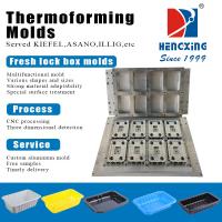 China Thermoforming  Mould Positive And Negative Pressure Mold  Three Dimensional Detection for sale