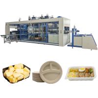 China High-Precision Positive and Negative Pressure Forming Machine for Complex Food Containers for sale