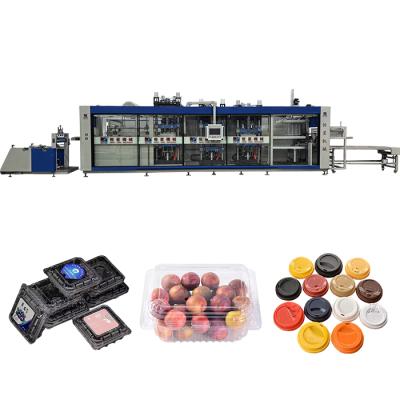China Automatic Plastic Thermoforming Machine for Disposable Egg Trays for sale