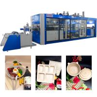 China Fully Automatic Mini Thermoforming Machine with Servo Motor Drive for PP/PET/PVC Plastic Disposable Food Boxes for sale