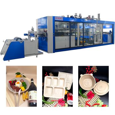 China Fully Automatic Mini Thermoforming Machine with Servo Motor Drive for PP/PET/PVC Plastic Disposable Food Boxes for sale