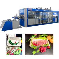 China Fully Automatic PET/PP/PS/PVC/EPS Food Fruit Trays Lid Thermoforming Machine Servo Motor Drive Touch Screen Control Pump High Vacuum Forming Equipment for sale