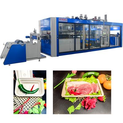 China Fully Automatic PET/PP/PS/PVC/EPS Food Fruit Trays Lid Thermoforming Machine Servo Motor Drive Touch Screen Control Pump High Vacuum Forming Equipment for sale