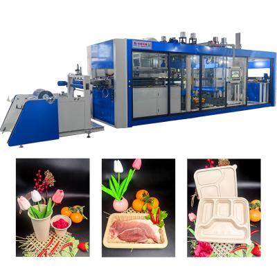 China Full Automatic Plastic Cup Lid Making Machine Seeding Tray Egg Tray Cake Tray Forming Machine Line for sale