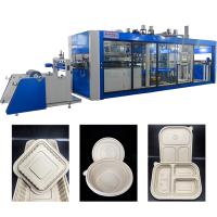 China High Efficiency and Low Energy Consumption Egg Seeding Tray Machine Price for China Export in Pakistan for sale