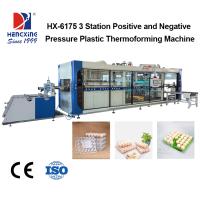 China Automatic Food Container Making Machine Plastic Thermoforming Equipment for Disposable Containers, Lids, Lunch Boxes & Takeaway Food Punnet Production for sale