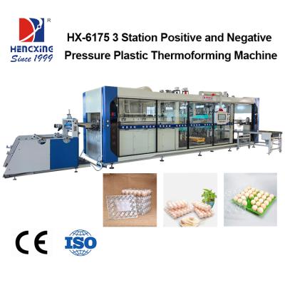 China Automatic Food Container Making Machine Plastic Thermoforming Equipment for Disposable Containers, Lids, Lunch Boxes & Takeaway Food Punnet Production for sale