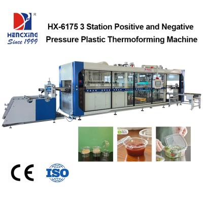 China Automatic Agriculture Seedling Tray Making Machine High-Output Plastic Thermoforming Production Line for Garden Nursery Plugs & Pots for sale