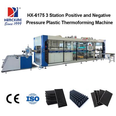 China Multi-function Thermoforming Machine For Plastic Seedling Tray, Planting Tray And Agriculture Packaging Making Machine for sale