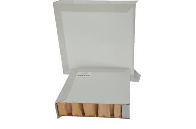 China Anti-Bacterial Paper Honeycomb Cleanroom Sandwich Panels For Hospital Construction for sale