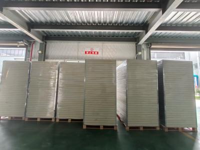 China Top-Performing Clean Room Wall Panel with Magnesium and Rockwool Core Material 75mm Thickness for sale