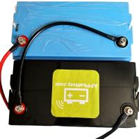 China Portable 12V 100Ah Lithium Ion Lifepo4 Battery Pack Rechargeable For Solar RV & Boat for sale