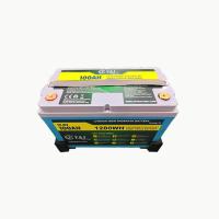China High Capacity BT LiFePO4 Lithium Ion Battery Pack 12V 100Ah 4S Unlimited Parallel Support for sale