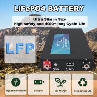 China Ultra Slim 12V 100Ah Lithium Ion Battery Pack Long Lasting With High Energy Density for sale
