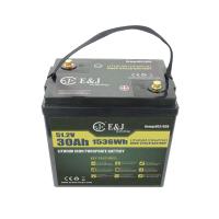 China 48V Lifepo4 Battery Pack 30AH 60AH 90AH 120A 150AH 180AH For Polaris Ranger Golf Carts for sale