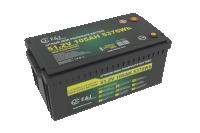 China Group 8d Size 48V Golf Cart Lithium Battery 105Ah Built in BMS for sale