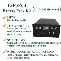China 51.2V 304Ah LifePO4 Battery Pack 10-20kWh Server Rack IP66 Grid UPS System All In One for sale