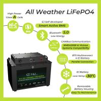 China Heavy Duty Industrial LiFePO4 Lithium Battery 48V 200Ah Relay Switch CANBUS Interface Bluetooth App for sale