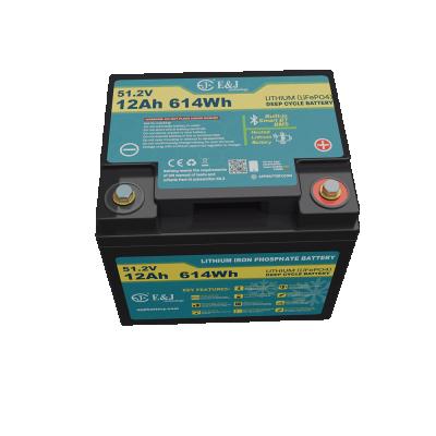 China 48V 12Ah LiFePO4 Liquid Battery 6000 Cycles Real Time Bluetooth Monitoring High Low Temp Protection 100% Discharge for sale