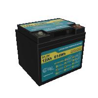 China 48V 12Ah LiFePO4 Liquid Battery 6000 Cycles Real Time Bluetooth Monitoring High Low Temp Protection 100% Discharge for sale