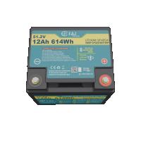 China 48V 12Ah LiFePO4 Liquid Battery 6000 Cycles Real Time Bluetooth Monitoring High Low Temp Protection 100% Discharge for sale