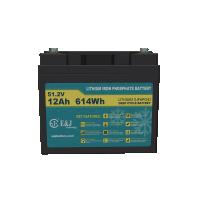China 48V 12Ah LiFePO4 Liquid Battery 6000 Cycles Real Time Bluetooth Monitoring High Low Temp Protection 100% Discharge for sale